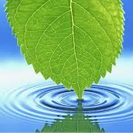 The Principles of Integrative Nursing – The Integrative Nurse